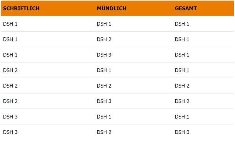 ドイツの大学が自主制作する「DSH」 | しめじのドイツ留学生日記